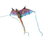 Top Ten Kites for Summer - Kitty Hawk Kites Blog - Happy Flying