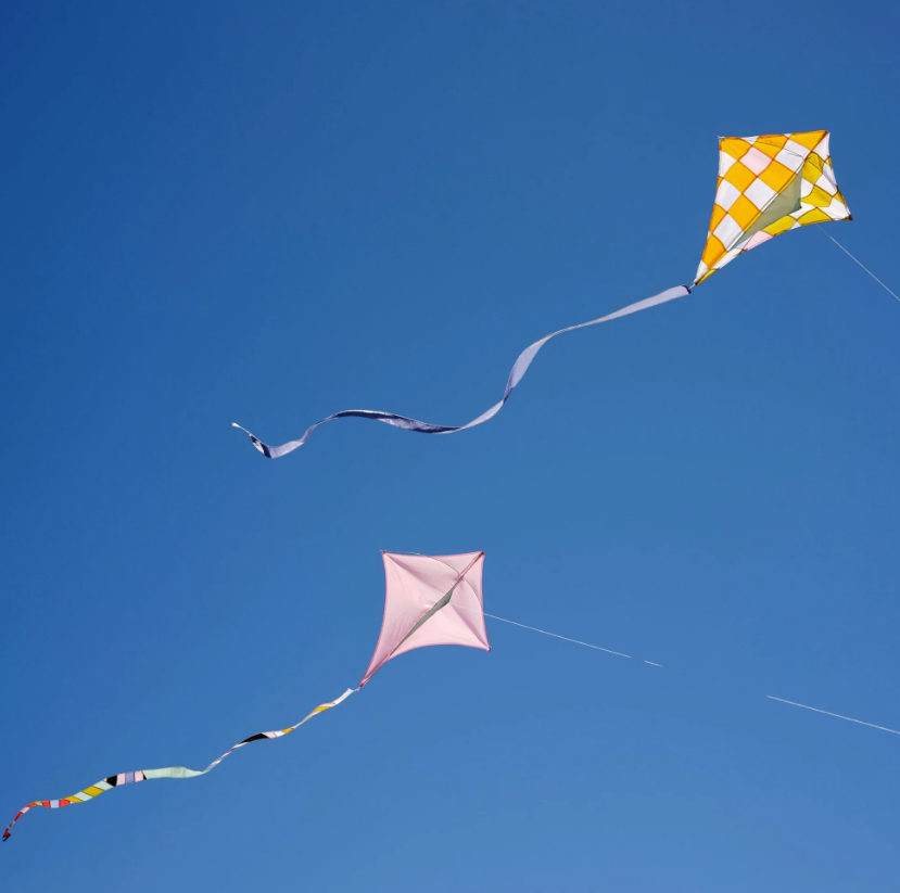 The Best Kites for Beginners - Kitty Hawk Kites Blog