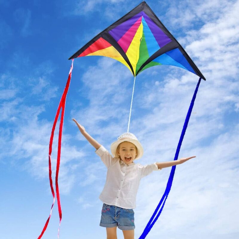 The Best Kites for Beginners - Kitty Hawk Kites Blog